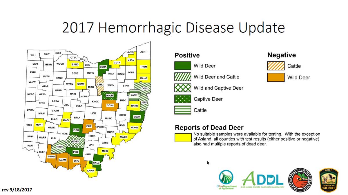 Facts on Epizootic Hemorrhagic Disease in Deer