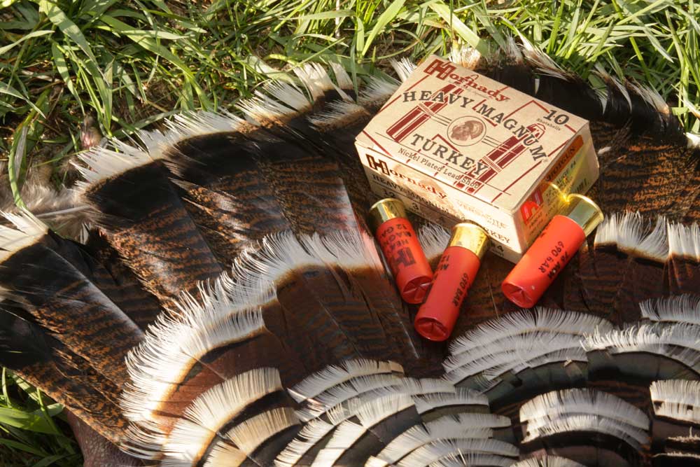 The Magic Of Merriam’s Turkeys | Mossy Oak