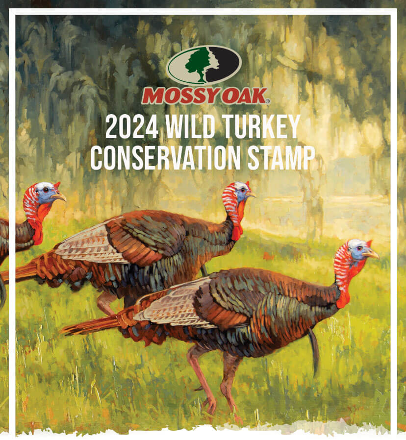Wild Turkey Stamp | Mossy Oak