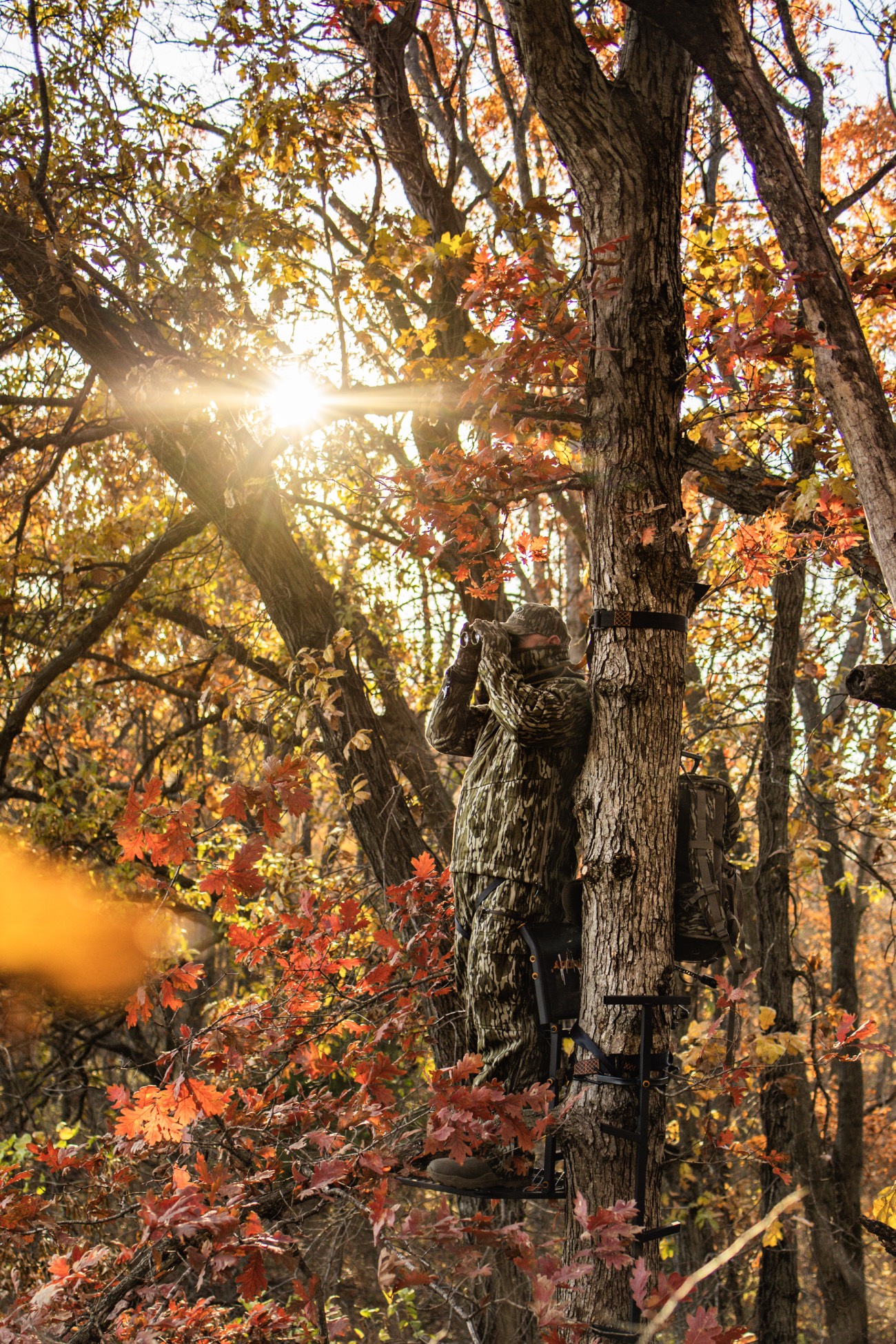 Deer Hunting Gear and Essential Equipment for Early Season